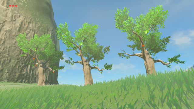 Tree Pattern - Zelda Wiki
