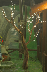 Plum Tree - Zelda Wiki