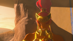 Riju of Gerudo Town - Zelda Wiki