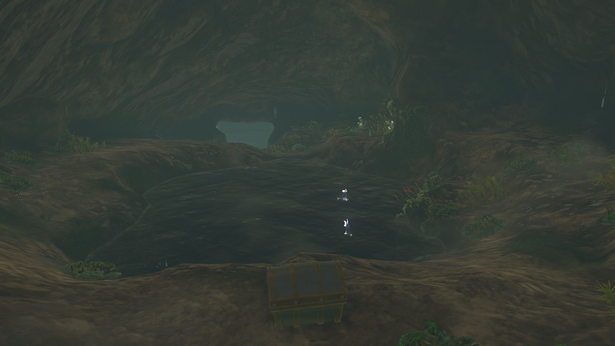 Deya Village Ruins North Well - Zelda Wiki