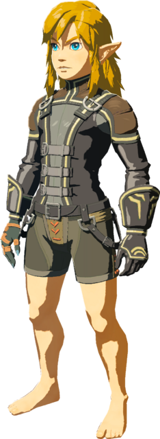 Rubber Armor - Zelda Wiki