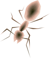 Golden Bug - Zelda Wiki