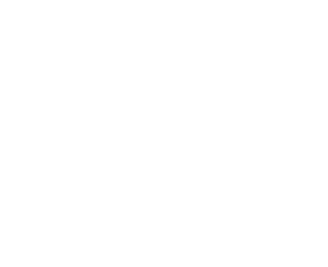 Team Cherry — Hollow Knight Wiki