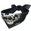 Skull Bandana - Inkipedia, the Splatoon wiki