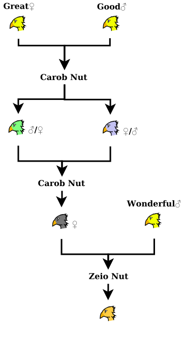 Final Fantasy VII/Chocobos — StrategyWiki, the video game walkthrough ...