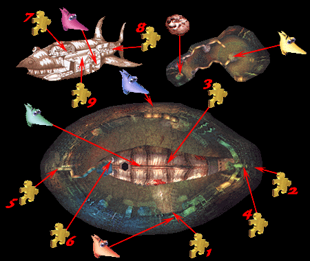 Honeycomb Locations Banjo Kazooie