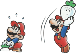 Super Mario Bros. 2/Controls — StrategyWiki, the video game walkthrough ...
