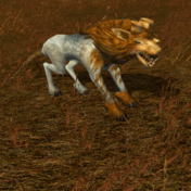 Star Wars: Knights of the Old Republic/Matale Grounds — StrategyWiki ...